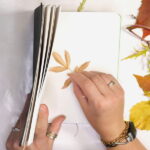 How to Press and Preserve Fall Leaves - Hop-A-Long Studio