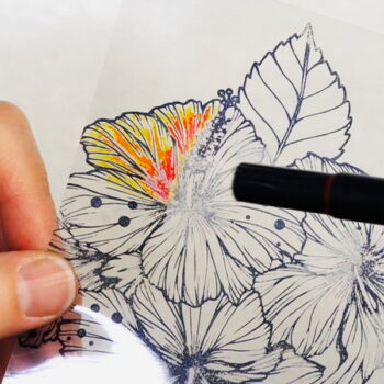 The Ultimate Guide for Coloring Acetate - Hop-A-Long Studio