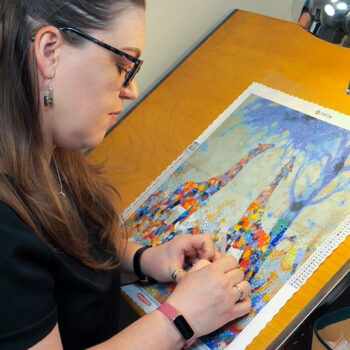 Everything You Need to Know About Diamond Painting - Hop-A-Long Studio